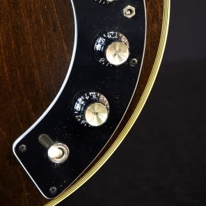 Epiphone Al Caiola Custom 1969 Walnut | Reverb