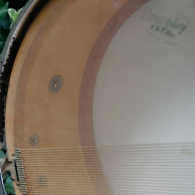 Vintage 1960s Premier Olympic 14x5.5" Snare Drum in White | Reverb