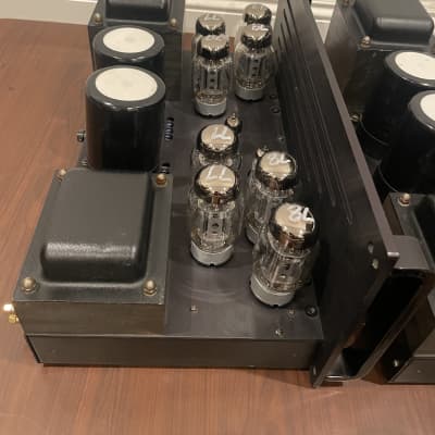 VTL MB-250 Monoblock Tube Power Amplifiers Pair | Reverb