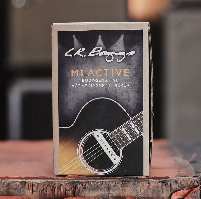 LR Baggs M1 Active Acoustic Sound Hole Pickup | Reverb