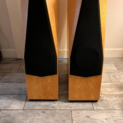 Avalon Eclipse Floor Standing Speakers | Reverb