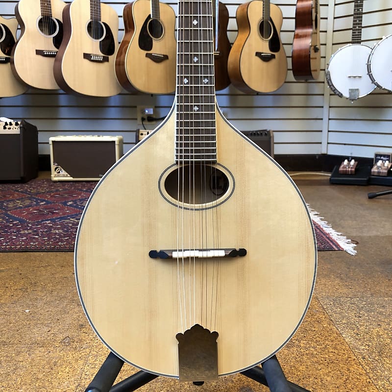 Trinity College TM-250 Standard Celtic Mandolin w/Hard Case | Reverb