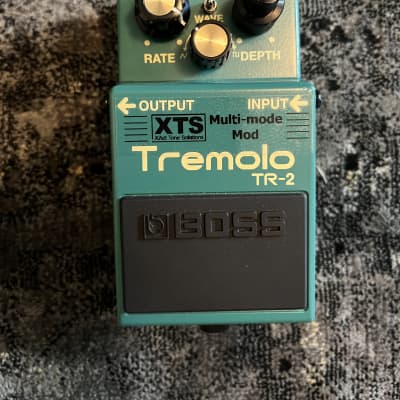 Boss TR-2 XTS Multi Mode Mod 2022 | Reverb