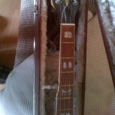 Framus Derroll Adams M-Line 5 string banjo 1976 Natural | Reverb
