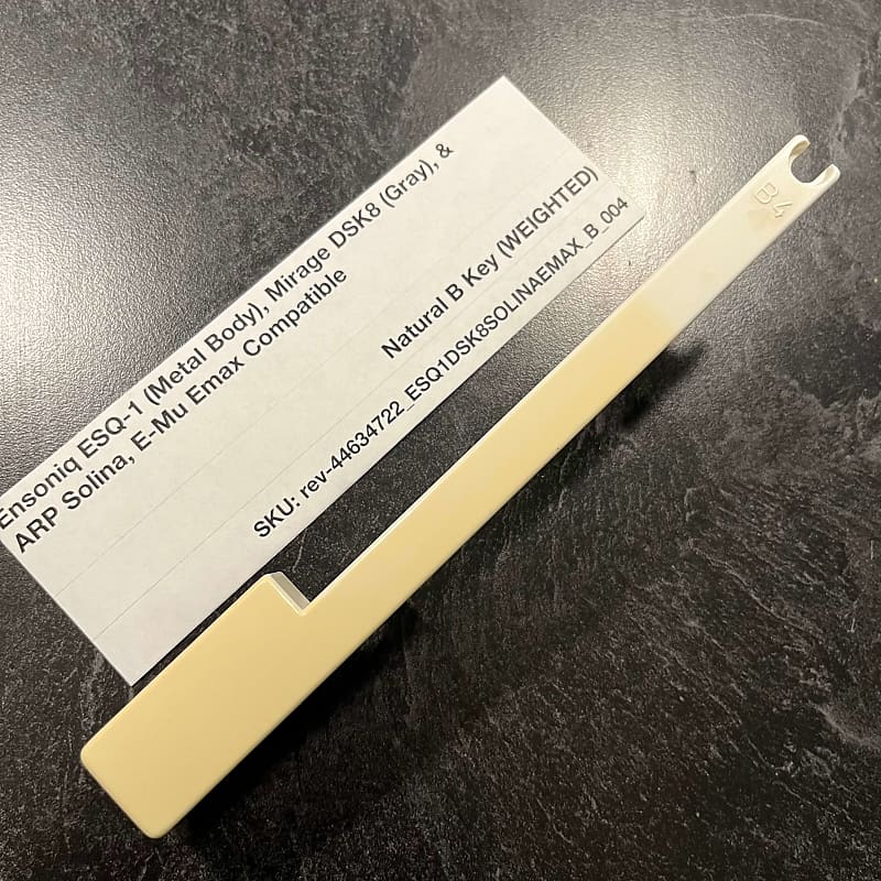 Ensoniq Replacement Weighted B Key (Ensoniq Keybeds) for | Reverb