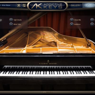 XLN Audio Addictive Keys: Studio Grand Steinway Model D | Reverb