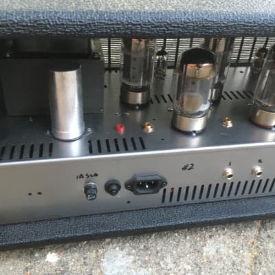 Winter Amps Sunn Model T Clone Pre Built Ready to Ship | Reverb