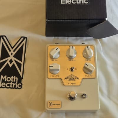 Moth Electric C. regalis Overdrive 2025 White | Reverb