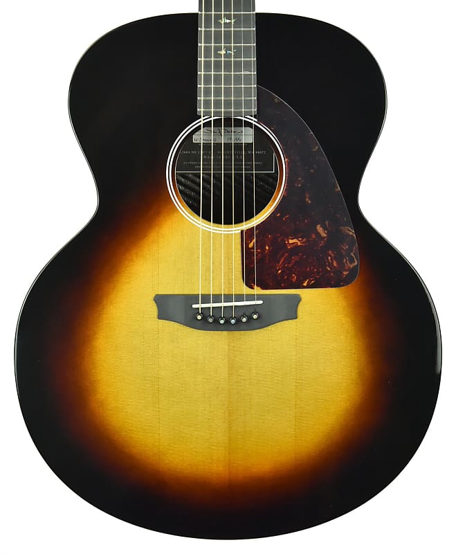 Rainsong Nashville Series N-JM1100N2 Wood and Carbon Fiber | Reverb