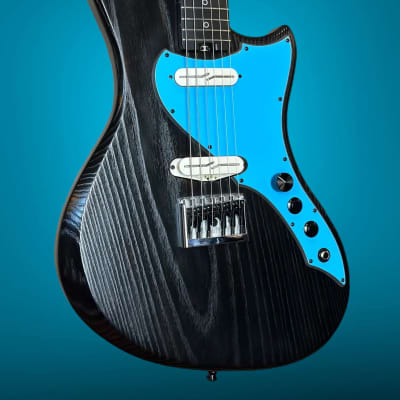 Alpher Instruments Mini Mako 2024 - Black | Reverb