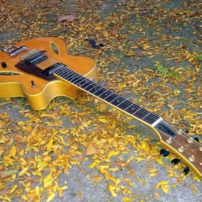 Cort Joe Beck Signature Jazz Box Electric Guitar | Reverb