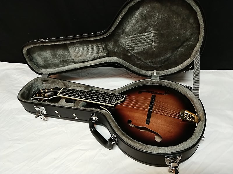 GOLD TONE GM-6+ 6-string electric mandolin GUITAR new w/ HARD | Reverb