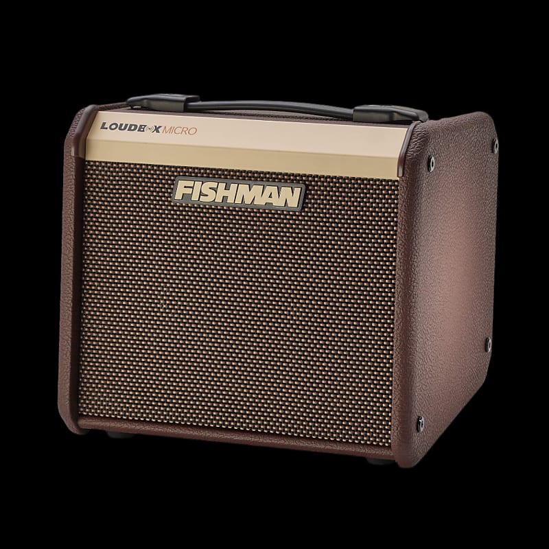 Fishman Loudbox Micro | Reverb