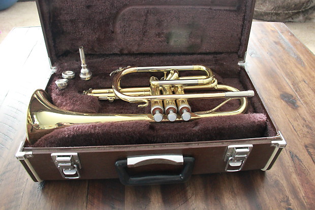 Yamaha Brass Cornet | Reverb