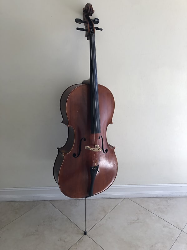 Cello 4/4 Muni Strings Bella Voce | Reverb