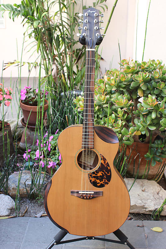 Bayard Octave Mandolin Custom Build 2015 | Reverb