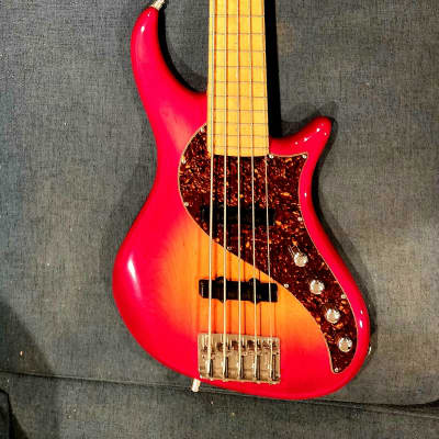 Pedulla Rapture 5 string bass 2001 | Reverb