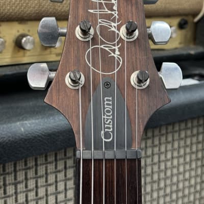 PRS Custom 24 Bird Inlays 10 Top 2014 - Tortoise Shell | Reverb