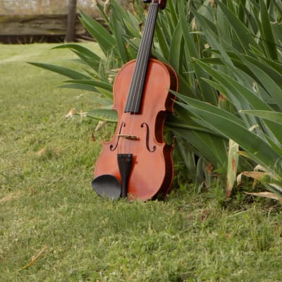 Swedish Nyckelharpa keyed fiddle folk instrument chromatic | Reverb