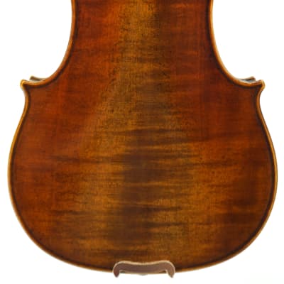 Amber Strings Carlo Moretti 2023 - Varnish | Reverb