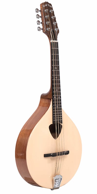 Gold Tone Mandola: Traditional Irish Mandola with Gig Bag | Reverb