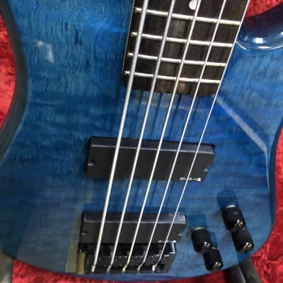 Spector 5-string Bass (early 2000’s) Q5 Pro / Legend 5 | Reverb