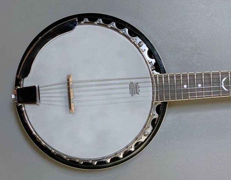 BACKWOODS 6 BANJO - SIX STRING, Recent | Reverb