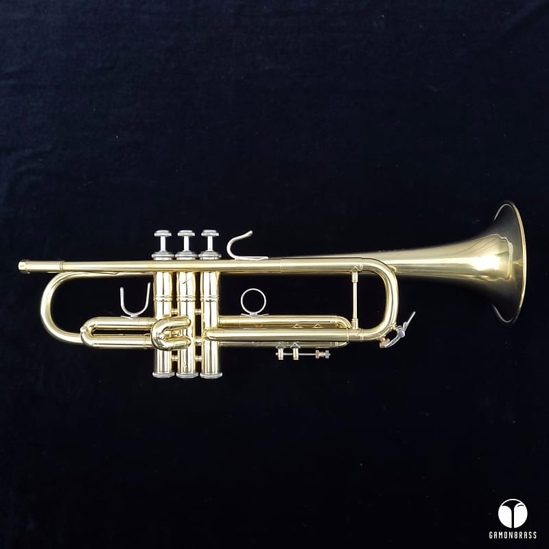 `Salsa horn` Vincent Bach Stradivarius 25 Large reverse | Reverb UK