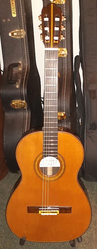 Hippner Hauser Classical Guitar 2024 | Reverb