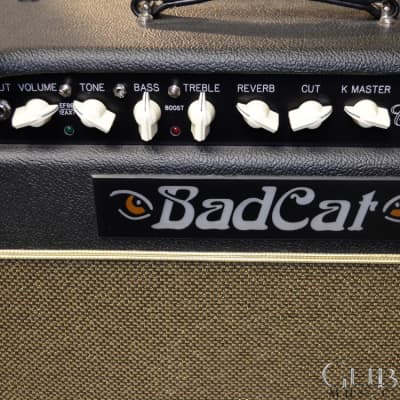 Bad Cat Cub III 30 Watt Class A 1X12 Guitar Combo Amp with | Reverb