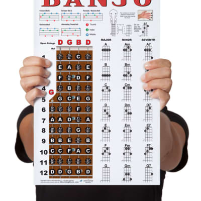 Laminated 5 String Banjo Fretboard Notes Poster & Chord Chart | Reverb