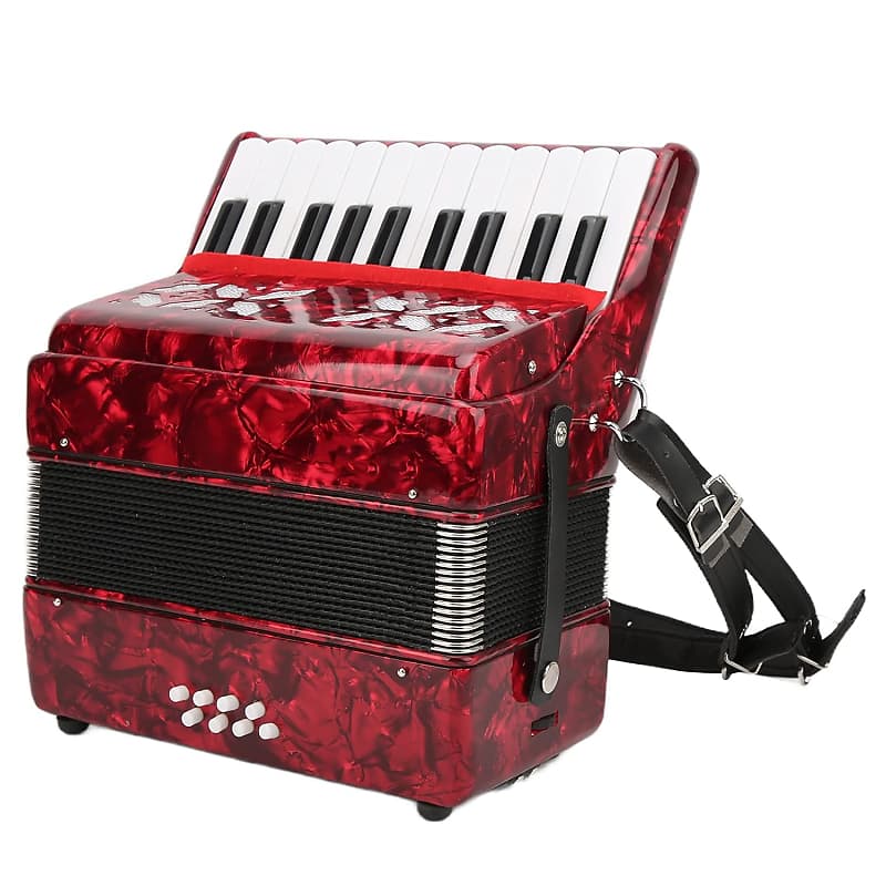 Accordion, Piano Accordion 8 Bass 22 Key Accordian Instrument | Reverb
