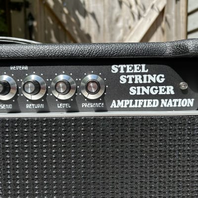 2024 Amplified Nation Steel String Singer 22 Watt Amplifier | Reverb