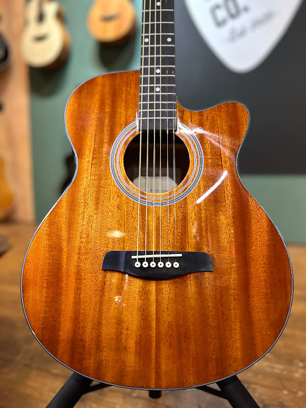 Brunswick BTK50M , Electro-Acoustic Guitar | Reverb