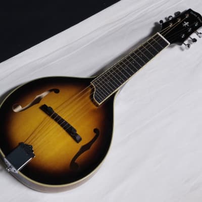 GOLD TONE GM-6 6-string Mandolin style GUITAR new GM6 Solid | Reverb