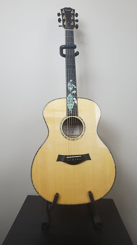 2000 Taylor Living Jewels Sea Turtle | Reverb