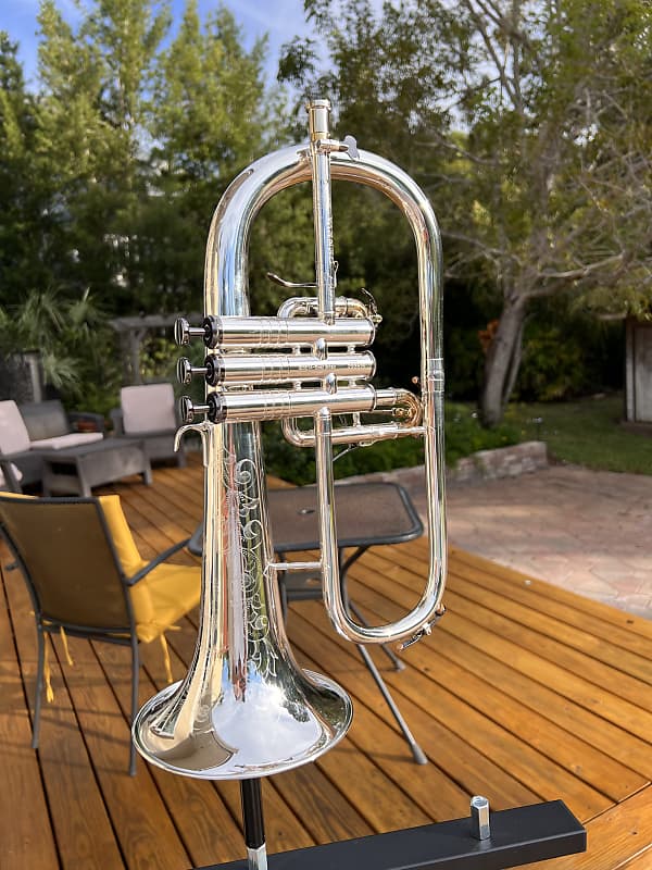 Flugelhorn. Geneva Cardinal Professional | Reverb
