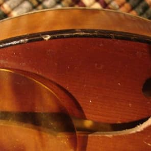 Stradolin Mandolin A Style 1950's Vintage | Reverb