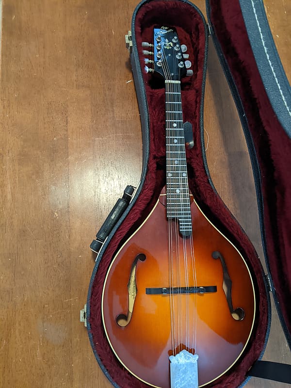 Flatiron Performer A Mandolin - Needs Work | Reverb