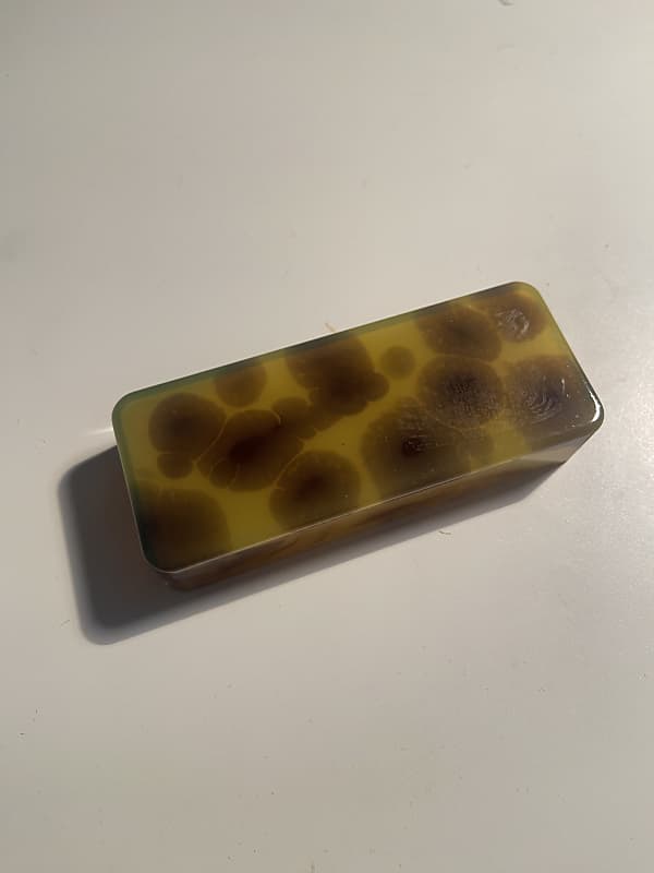 Proto Guitars Tortoise P90 pickup cover #4 | Reverb