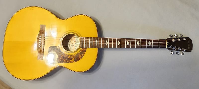Giannini GS380 Steel String 1978 - *VTG Brazilian Woods* w/ | Reverb