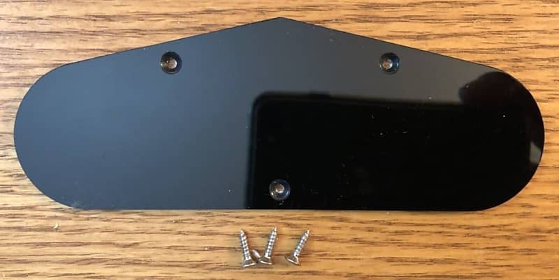 Epiphone Les Paul Special II Control Cavity Cover Plate With | Reverb