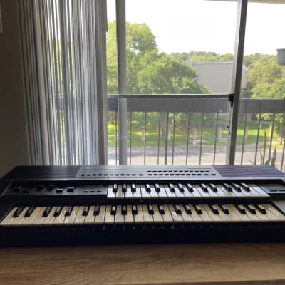 Casio DM-100 Dual Keyboard | Reverb