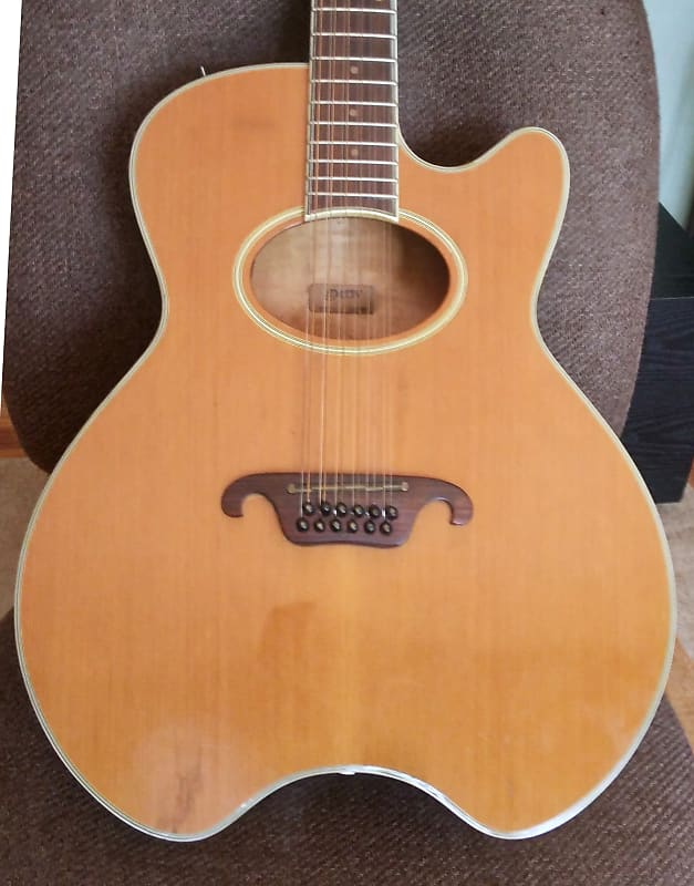 12 String Daion '81 Caribou | Reverb