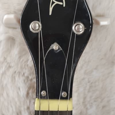 Dean Backwoods Model BW2E 5 string Electric Banjo with | Reverb Canada