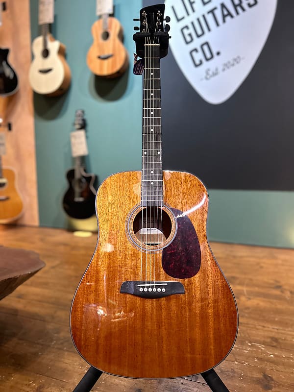 Brunswick BD200M Dreadnaught (Mahogany) Acoustic Guitar | Reverb