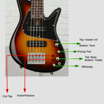 Fodera Imperial Elite MG 6-String Bass Single Cut 2015 (s4MG) | Reverb