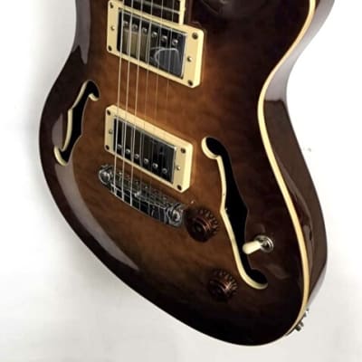 Raven West Guitars RG450 Sunburst | Reverb