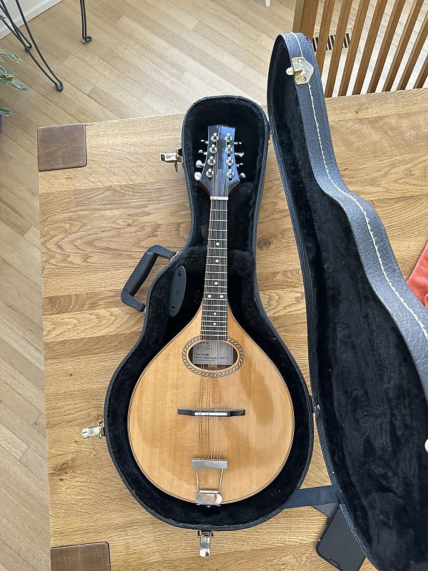 Paul Shippey Handmade Mandolin Celtic Early 2000,s | Reverb Canada