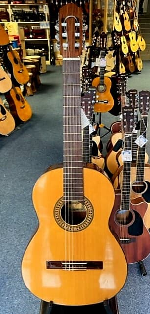 Raimundo Model 123 | Reverb